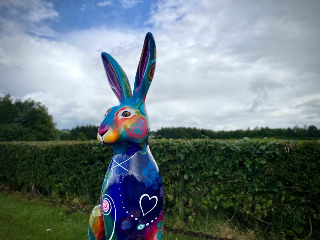 The Big Hop Trail | Wild in Art