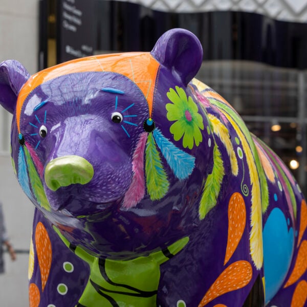 We're Going on a Bear Hunt Art Trails | Wild in Art