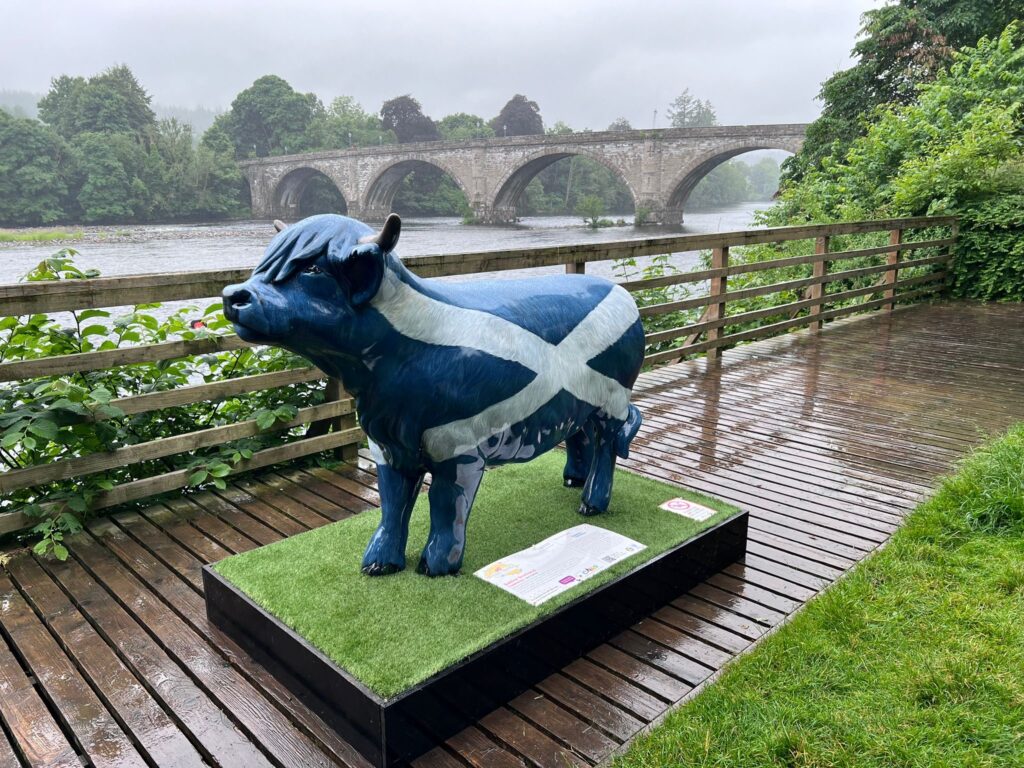 Hairy Highland Coo Trail | Wild in Art