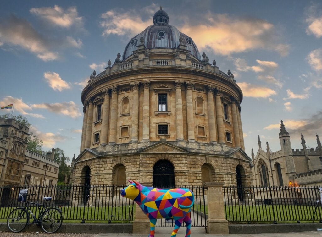 A trail of ox sculptures to open in Oxford in 2024 | Wild in Art