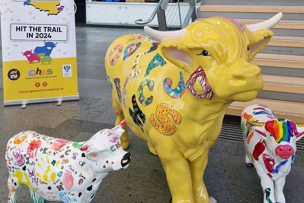 Perth and Kinross to host the Hairy Highland Coo Trail | Wild in Art