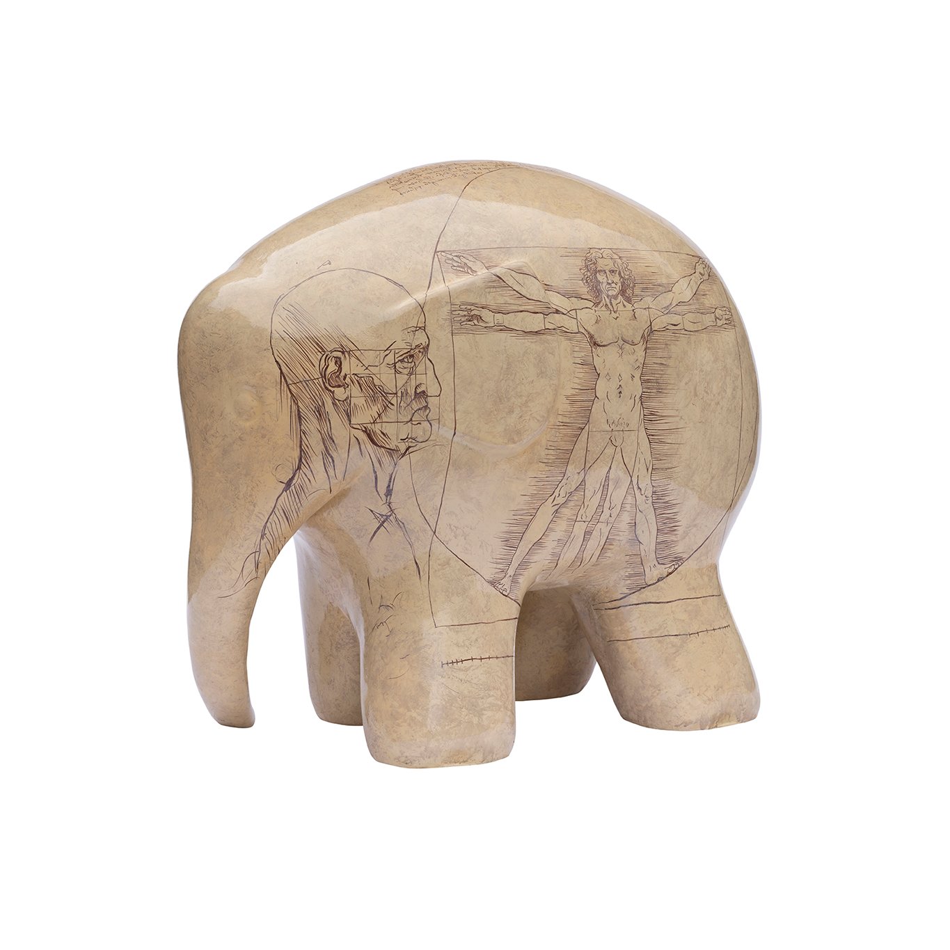 The Polymath | Wild in Art