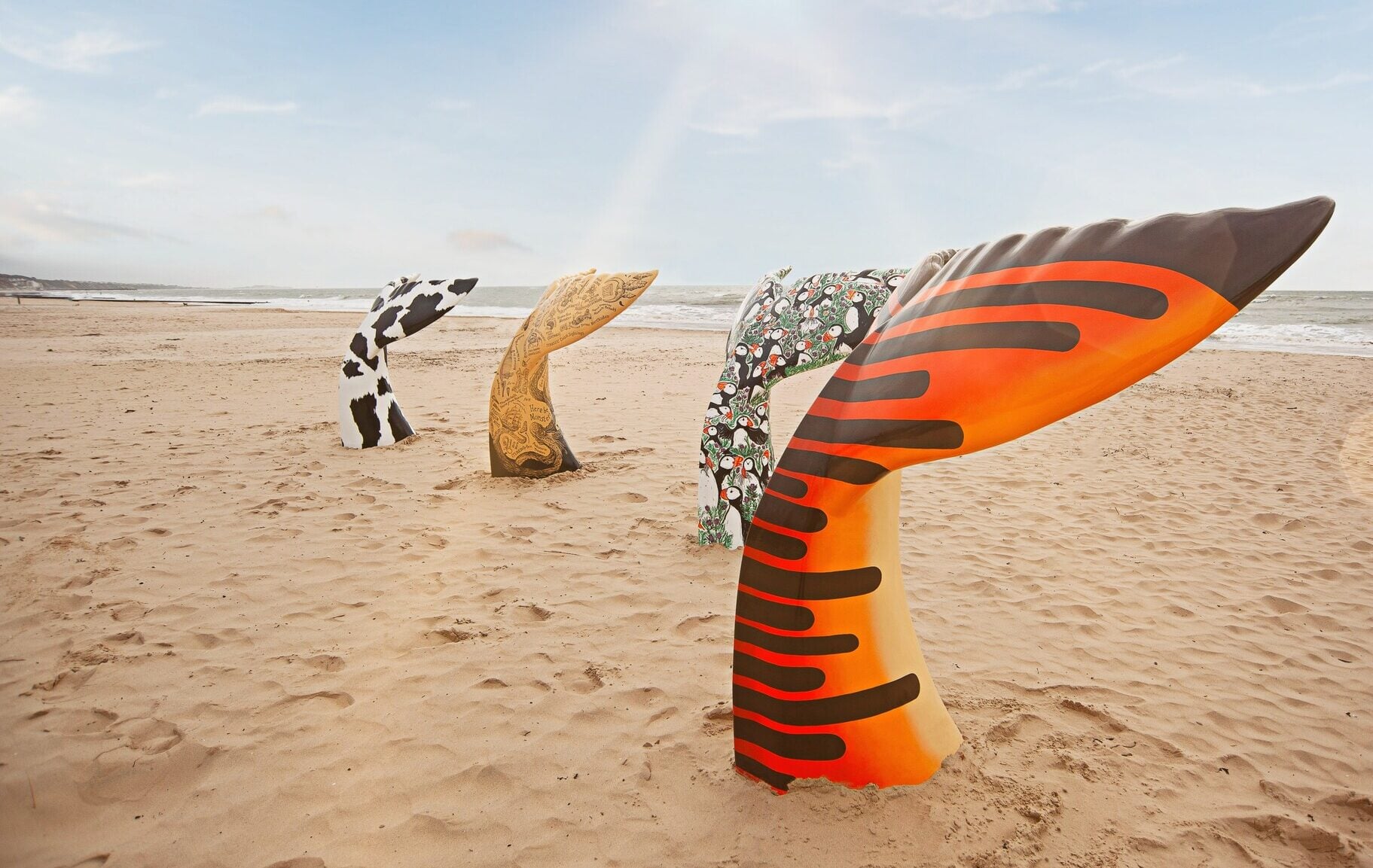 Great Tail Trail | Wild in Art