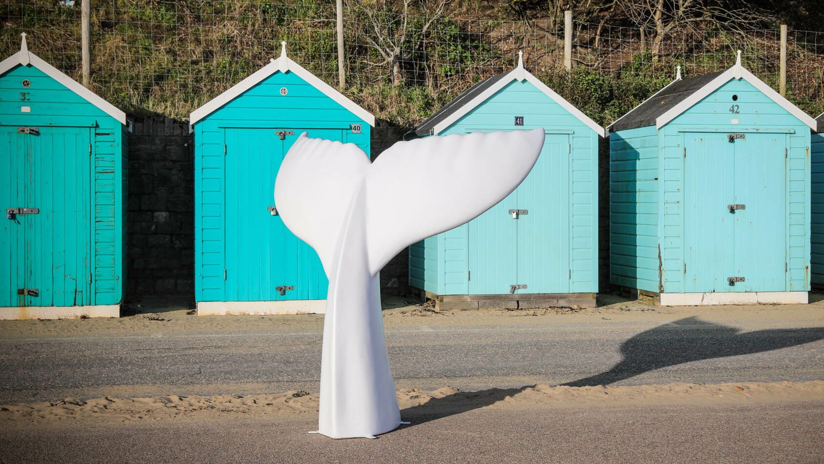 Great Tail Trail | Wild in Art