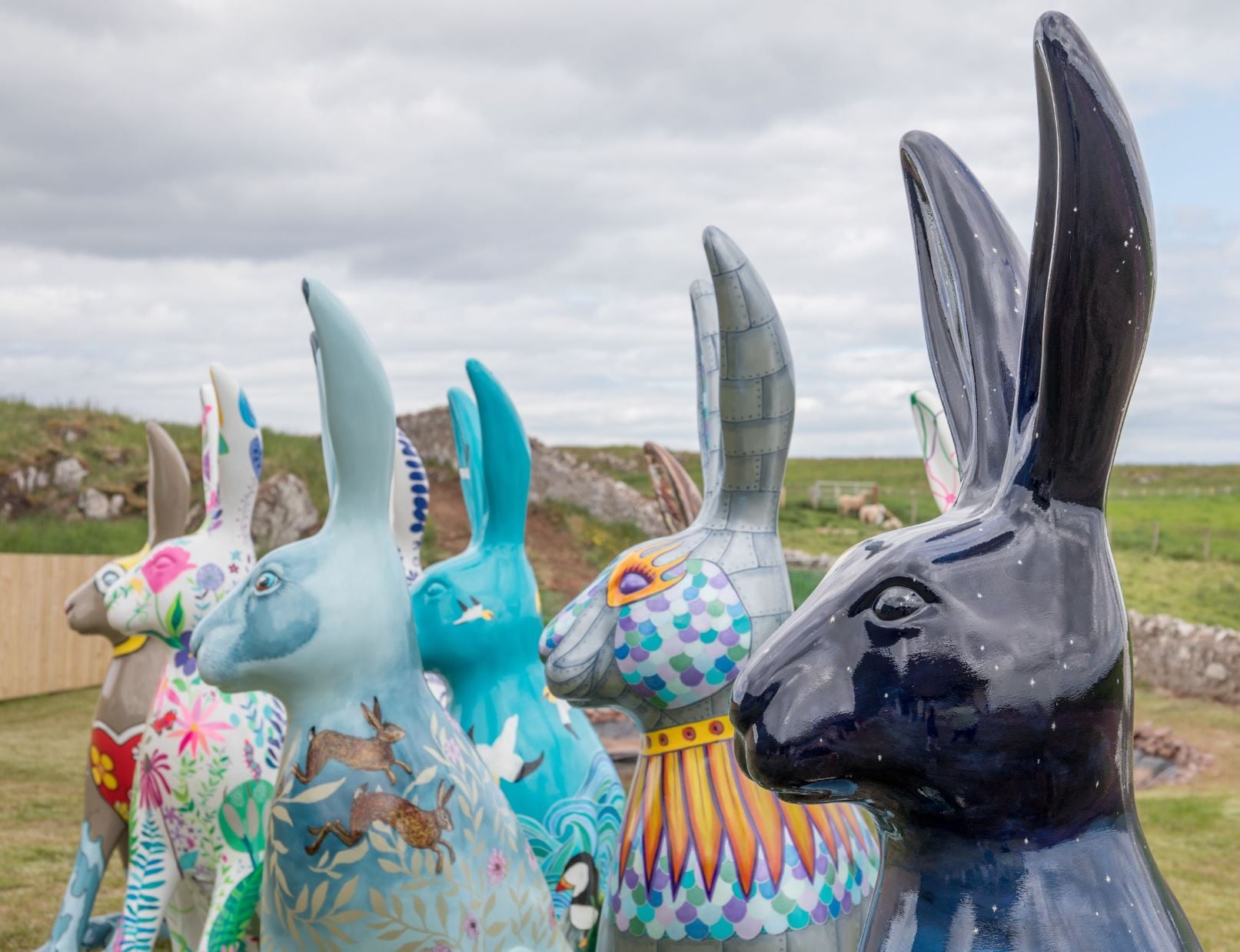 The Big Hare Trail | Wild in Art