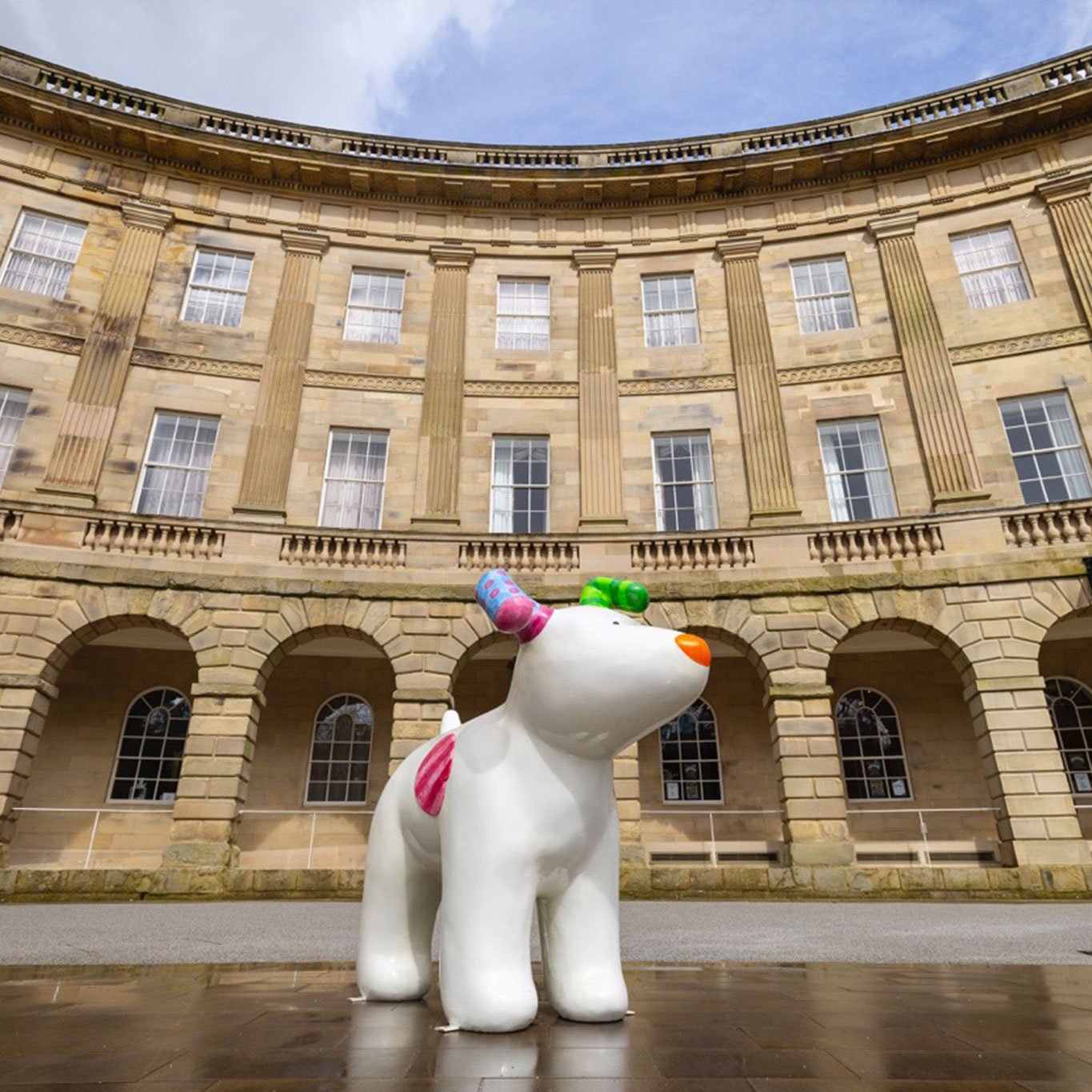 Snowdogs Discover Buxton | Wild in Art