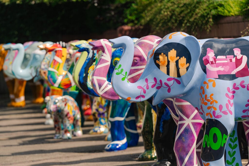 March of the Elephants stomps to success | Wild in Art